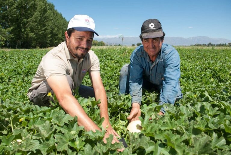 Yerba, aceite y dulces: los productos más vendidos en Alma Rural ...