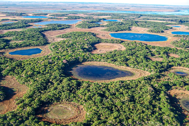 El INTA promueve las buenas prácticas en humedales - Opción Rural ...