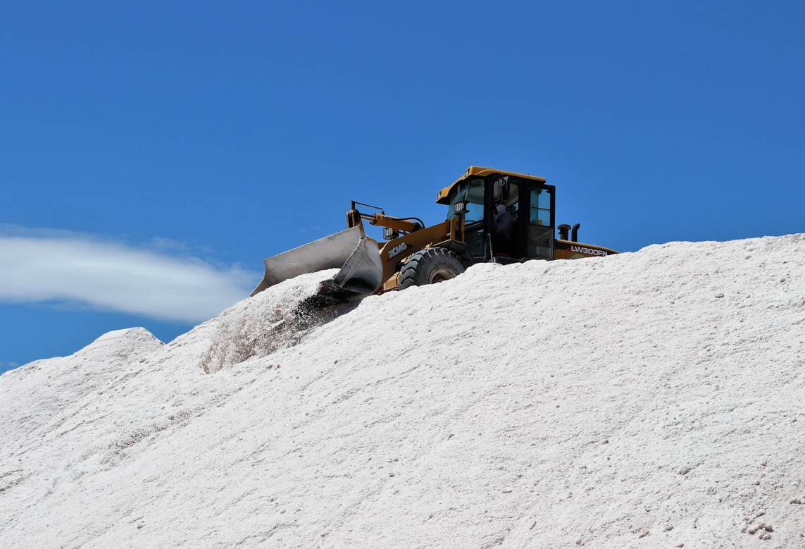 Punto de Llegada… Partido de Villarino - Opción Rural · Información ...