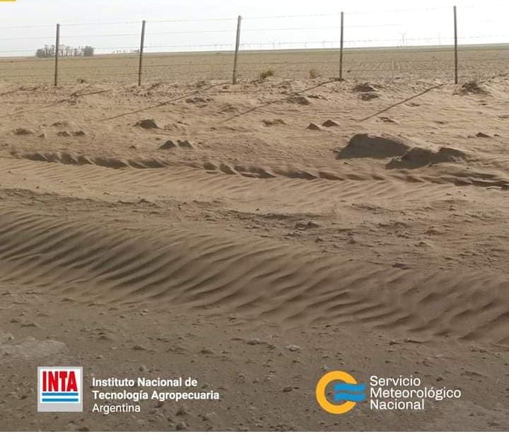 Informe de cultivos y ganadería en las sub zonas de INTA Bordenave ...