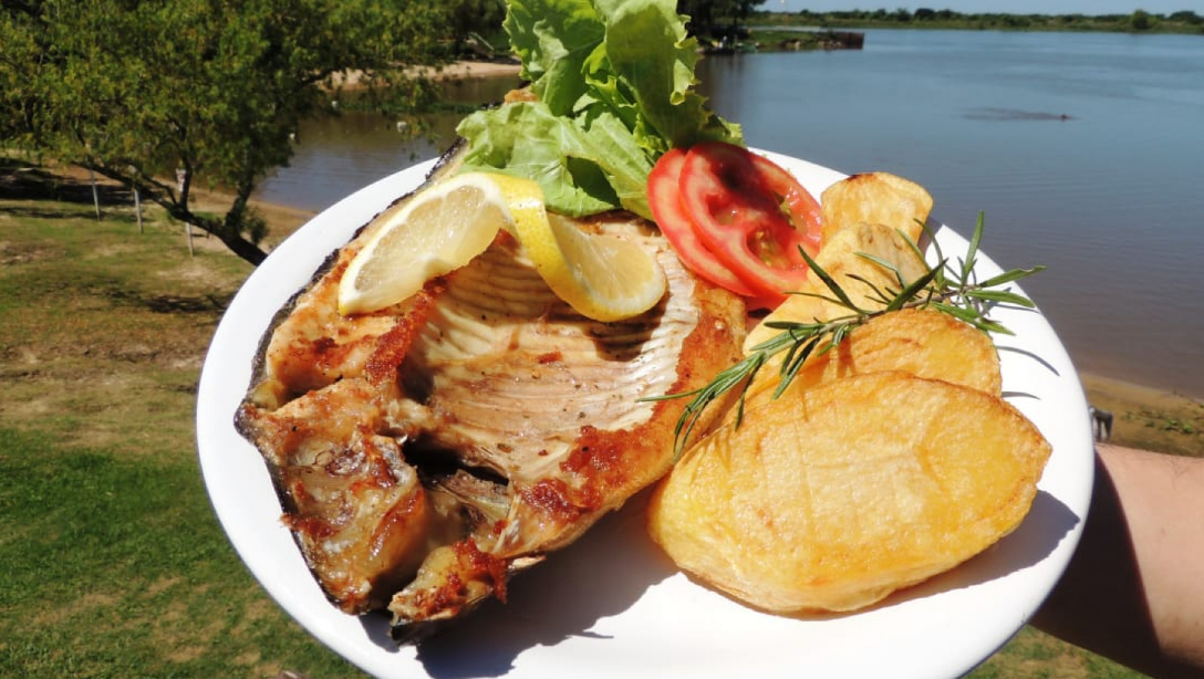 Pacú: el pescado típico del Paraná con alto valor nutricional - Opción ...